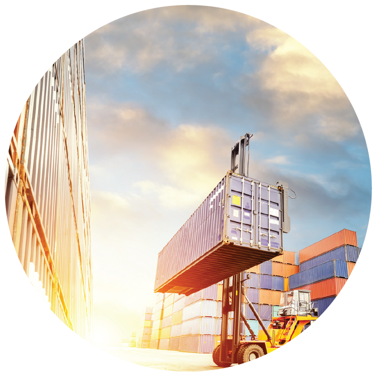 MiFleet – Your Fleet and Asset Management Solution